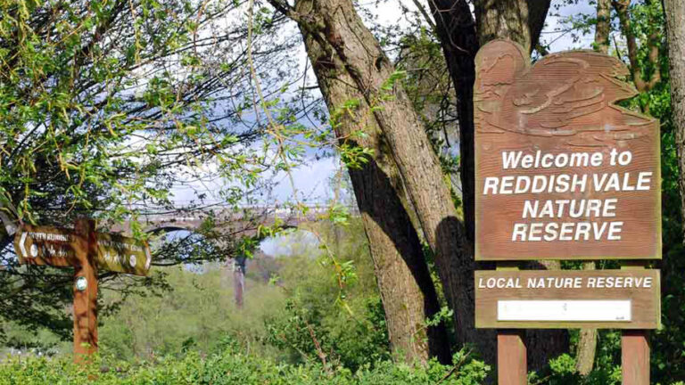 The murder of Jamie Lavis – A True Crime Podcast